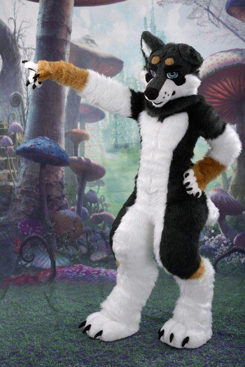 WOLF FURSUIT – FurryMascot